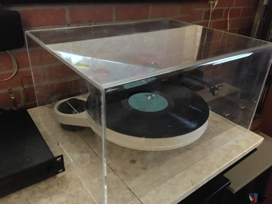 Project 1.3 turntable with extras and Cardas wiring {PU only For Sale ...