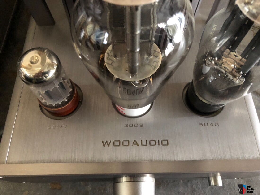 Woo Audio 300b mono blocks (custom made) Photo #1774741 - US Audio Mart