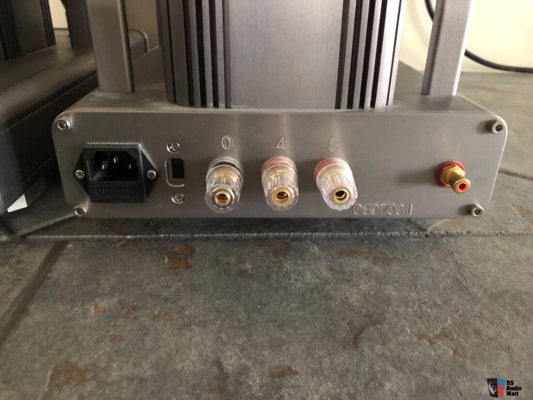 Woo Audio 300b mono blocks (custom made) Photo #1774744 - US Audio Mart