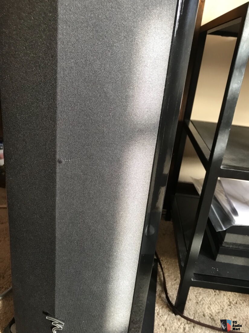 Focal Chorus 836 W Prestige Stunning Free Shipping Photo #1789658 - US ...