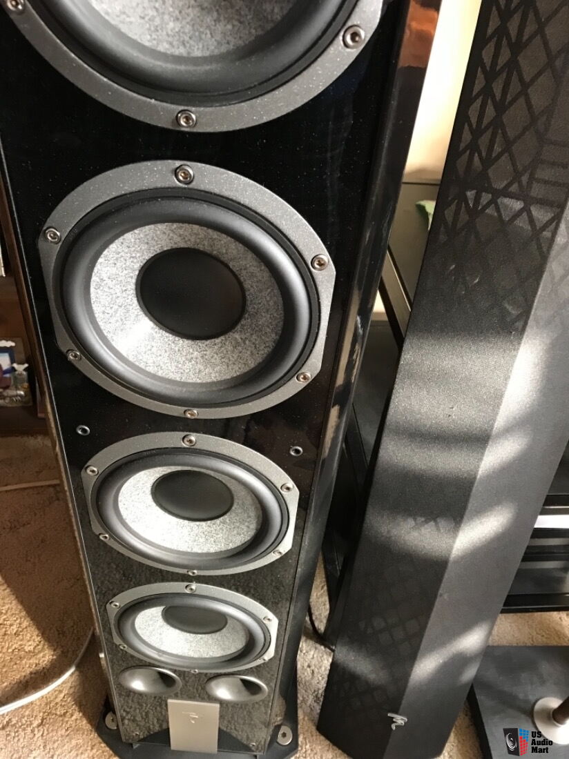 Focal Chorus 836 W Prestige Stunning Free Shipping Photo #1789658 - US ...