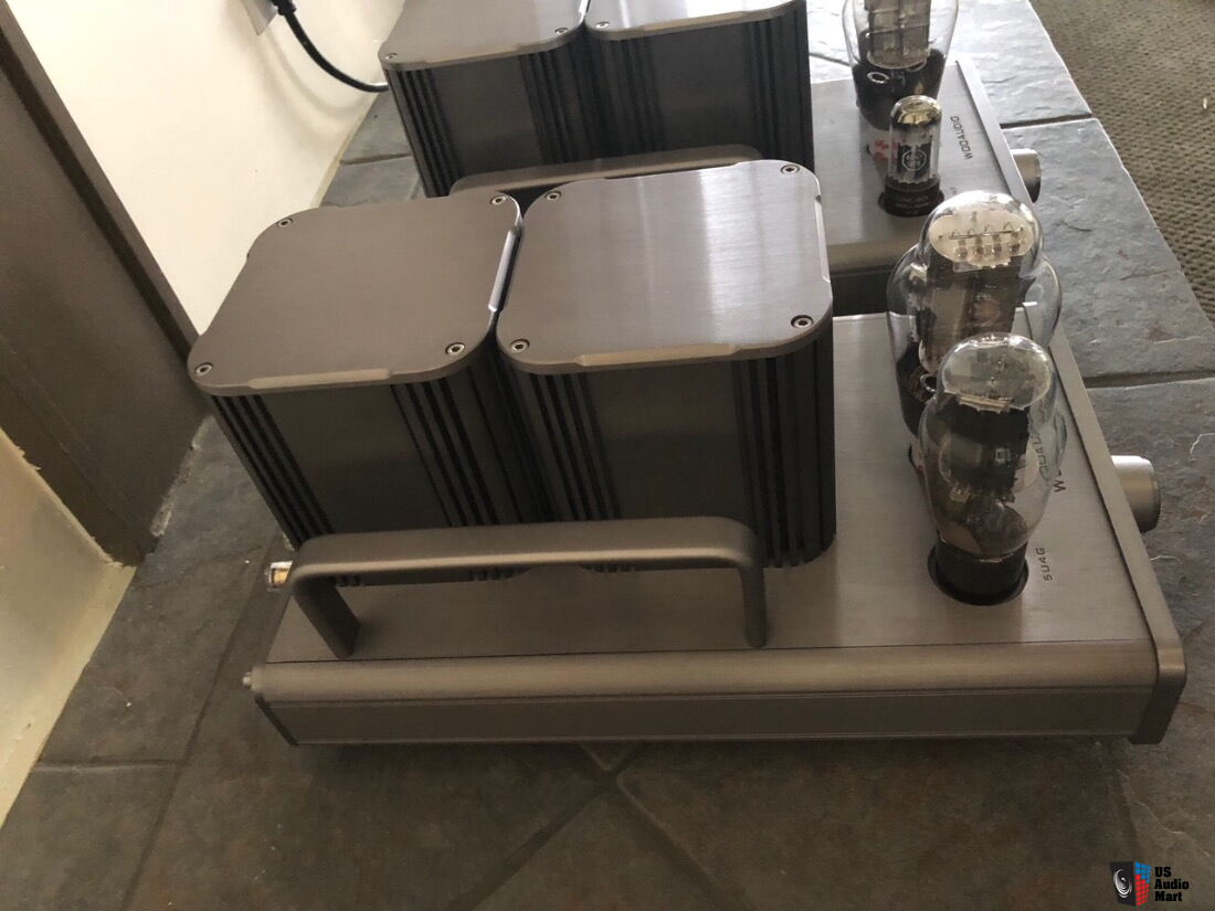 Woo Audio 300b mono blocks reduced [pending Photo #1809334 - UK Audio Mart