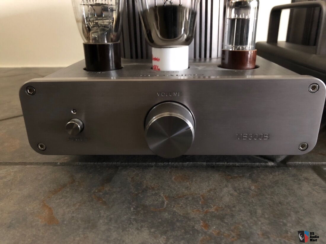 Woo Audio 300b mono blocks reduced [pending Photo #1809337 - UK Audio Mart
