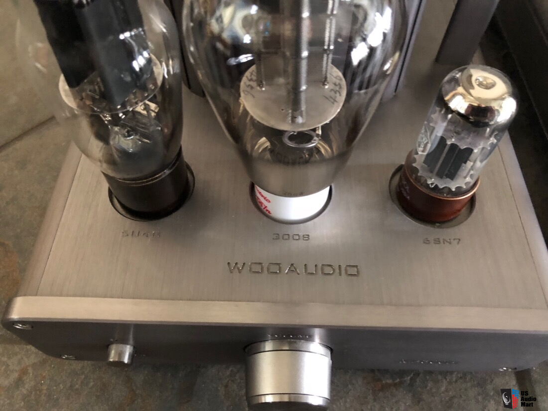 Woo Audio 300b mono blocks reduced [pending Photo #1809338 - UK Audio Mart