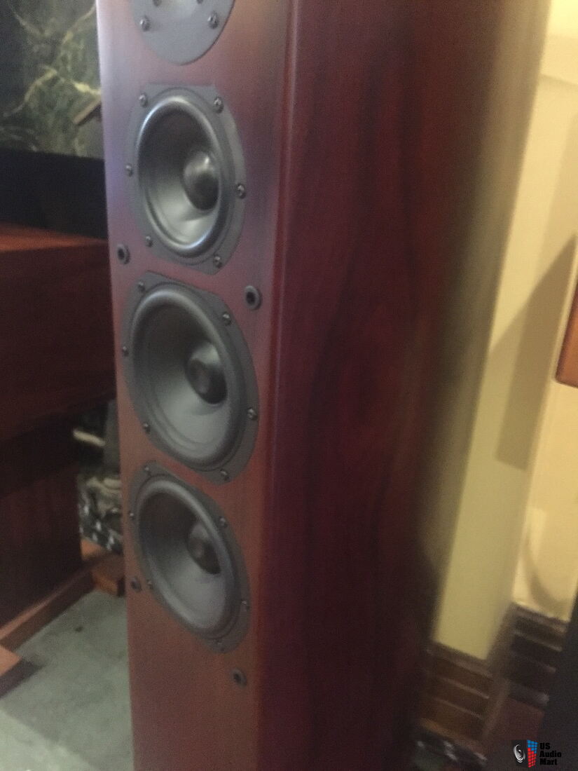 Era Design D14 Rosewood Photo #1857279 - US Audio Mart