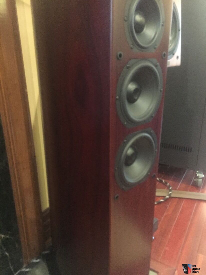 Era Design D14 Rosewood Photo #1857279 - US Audio Mart