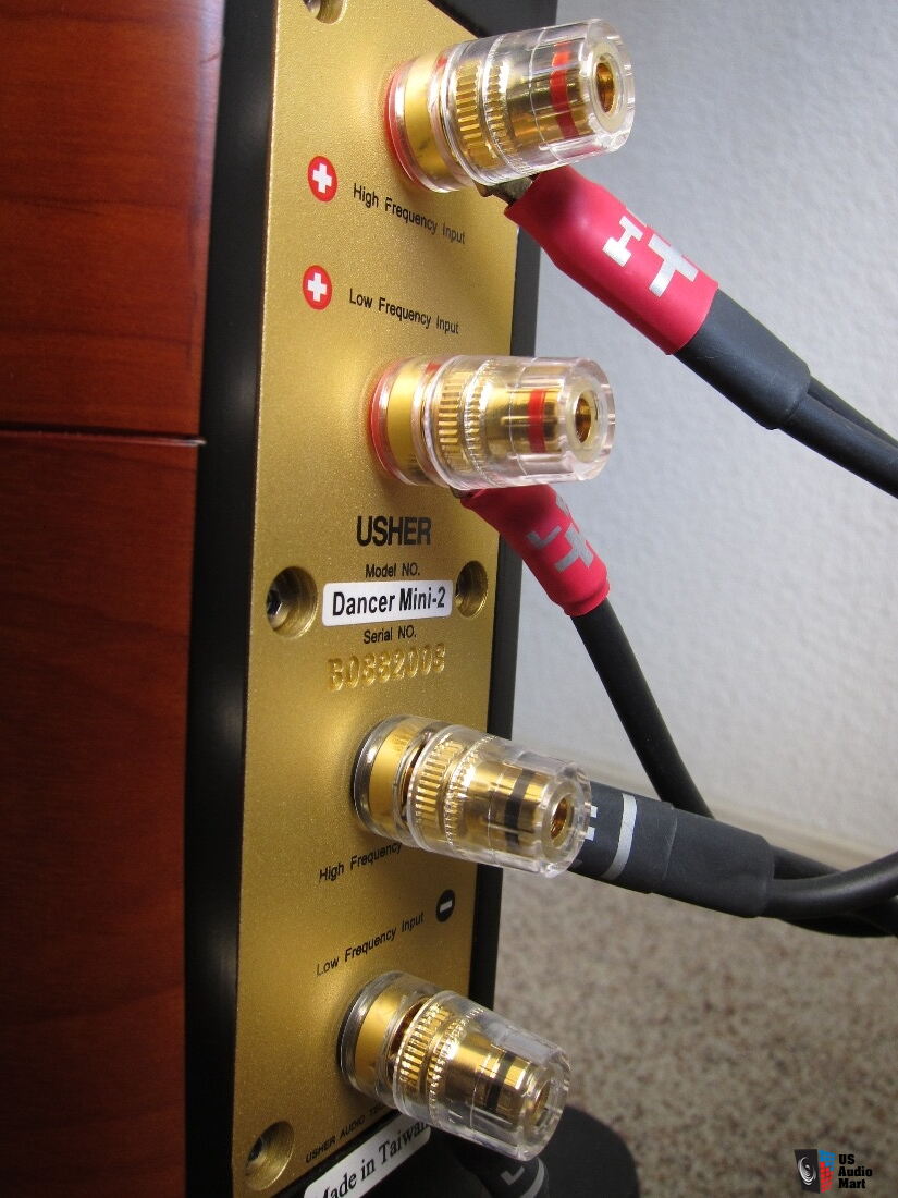 Usher DANCER MINI TWO DMD (Diamond) in Pioneer Birch Photo #1857517 ...