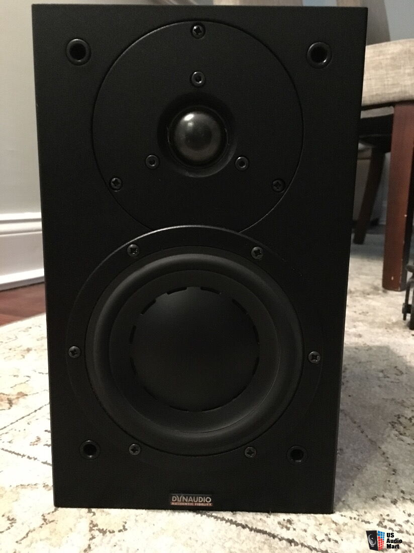 Dynaudio Audience 42 Speakers Photo #1899662 - US Audio Mart