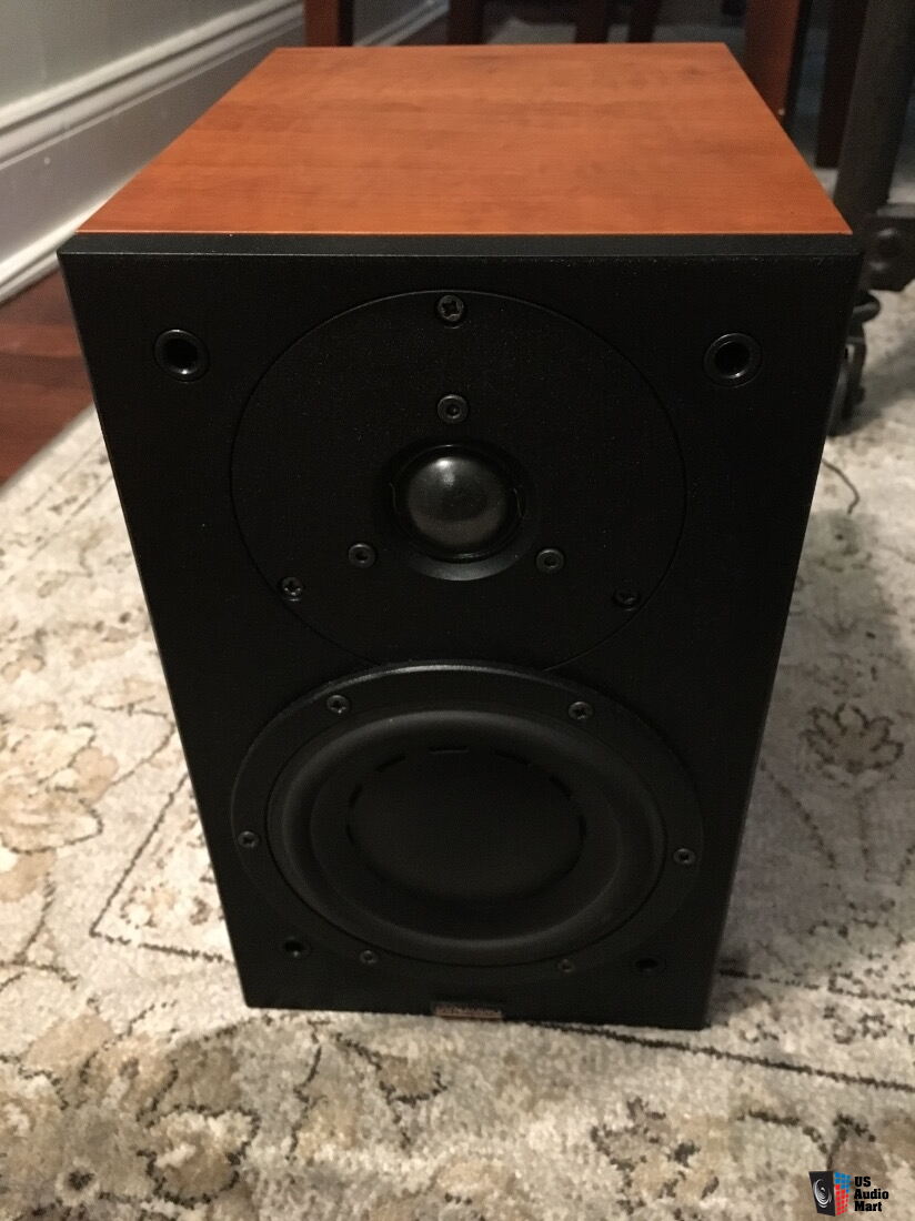 Dynaudio Audience 42 Speakers Photo #1899659 - US Audio Mart