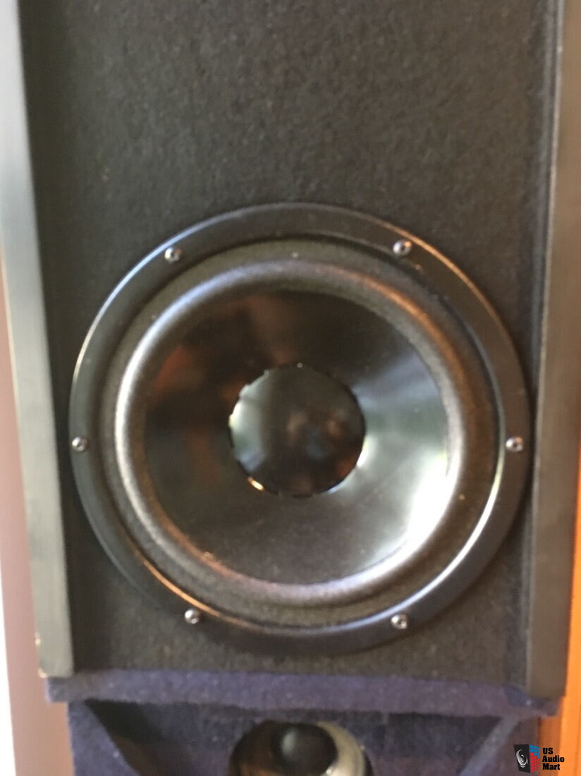 Duntech Crown Princess Photo #1918287 - US Audio Mart