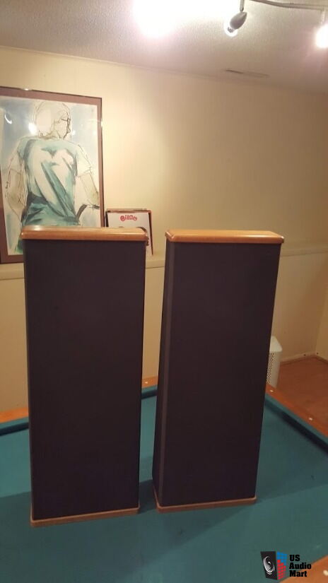 Pair of DCM TimeFrame TF250 speakers Photo #1931667 - US Audio Mart