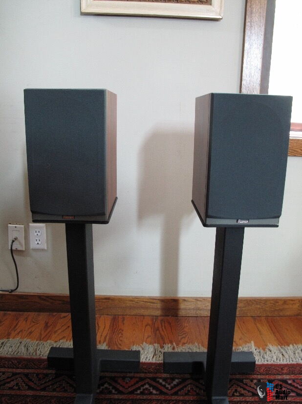 Dynaudio Audience 42 Photo #1939003 - US Audio Mart