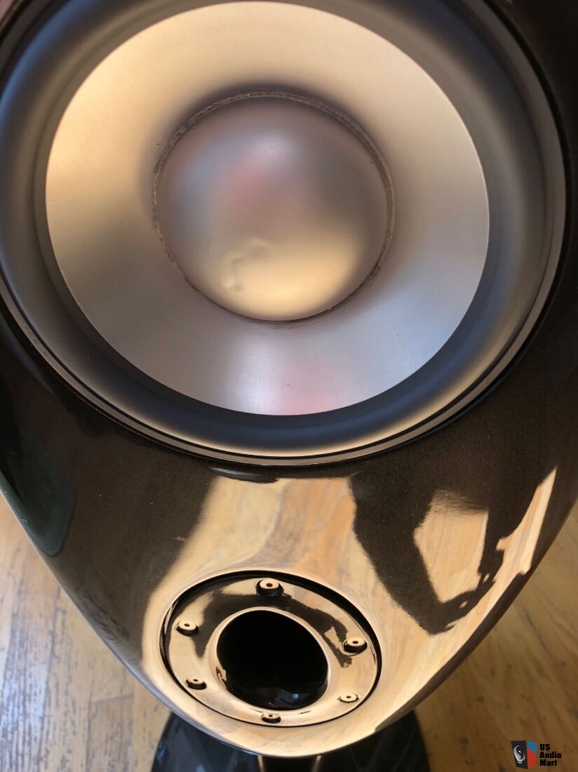 vivid audio oval b1 Photo #1965234 - Canuck Audio Mart