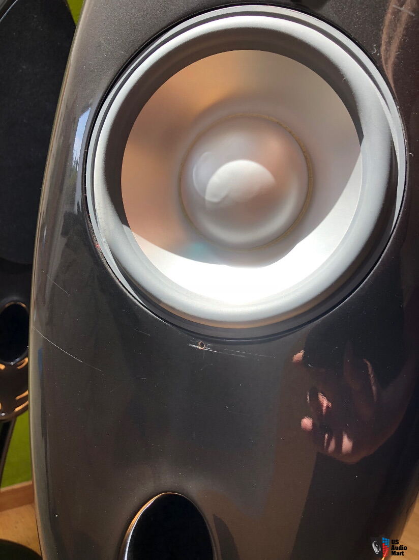 vivid audio oval b1 Photo #1965230 - US Audio Mart