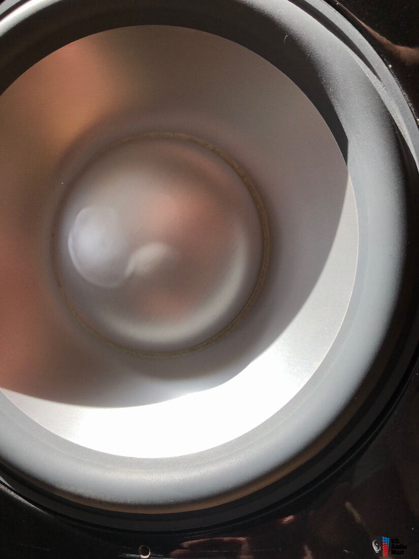 vivid audio oval b1 Photo #1965234 - US Audio Mart