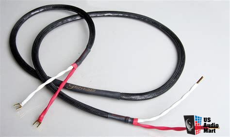Absolute Fidelity Speaker cables 2M For Sale - Canuck Audio Mart