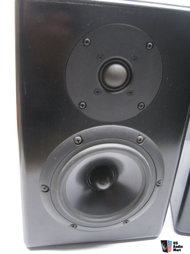 Roan Audio Model 5. excellent Photo #1984493 - US Audio Mart