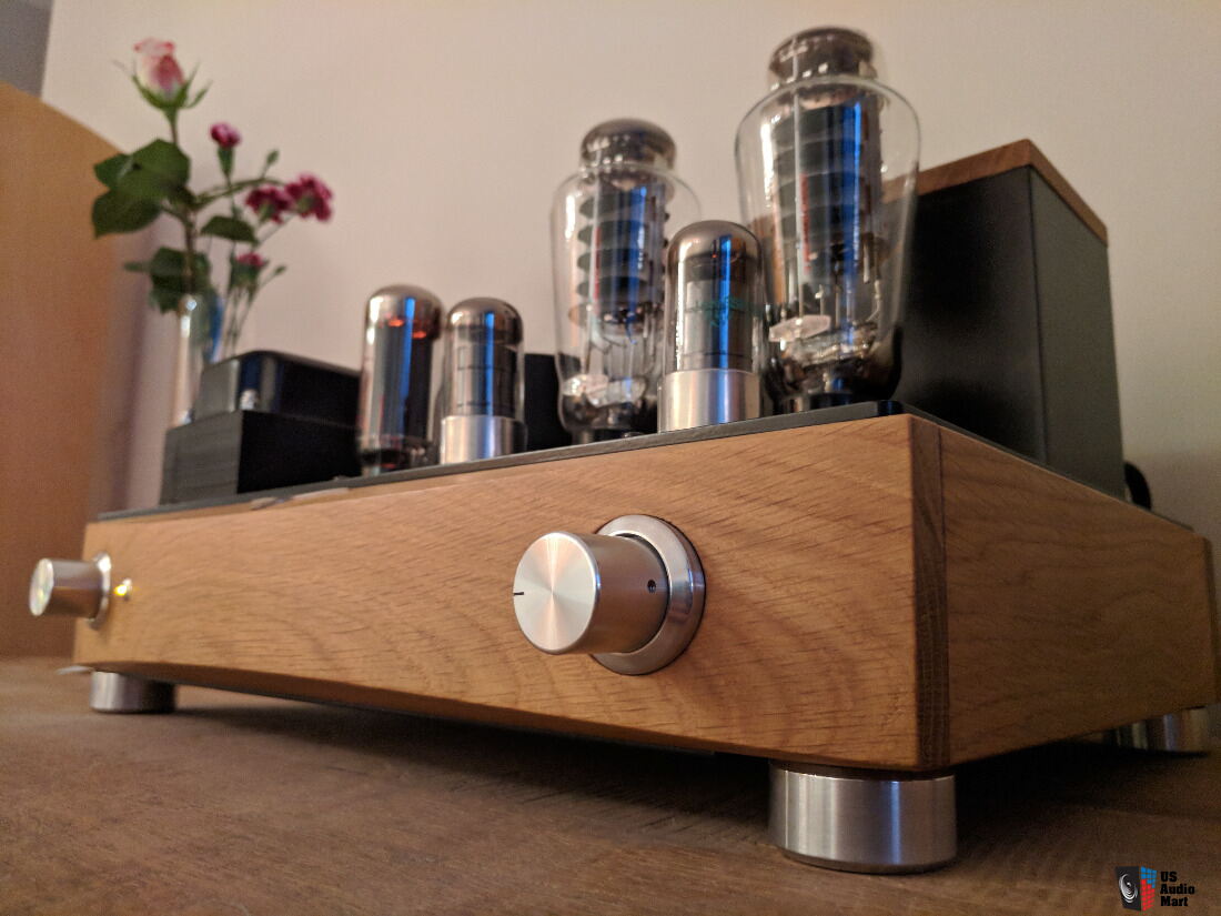 Class A Vacuum Tube Amplifier Photo #2003932 - US Audio Mart
