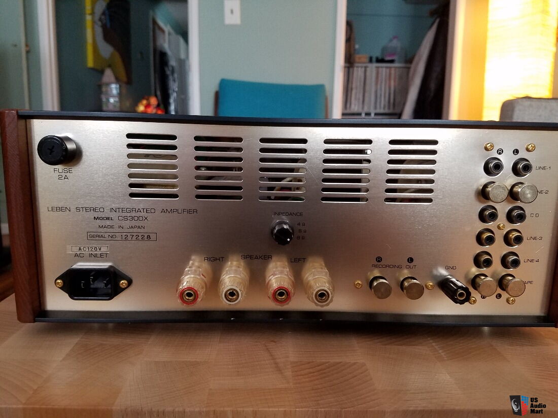 Leben CS300X ""A Jewel of an Amp Photo #2020511 - US Audio Mart