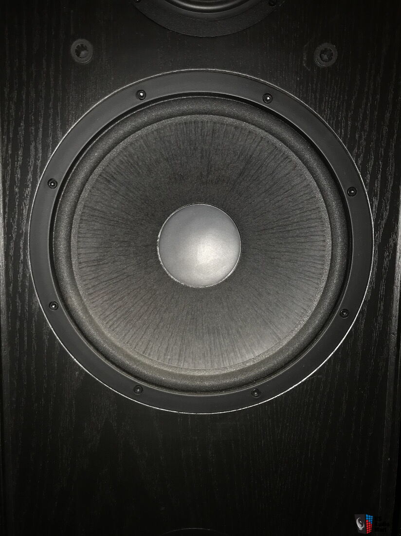 Infinity kappa 8.1 Series II Black Oak Photo #2049226 - US Audio Mart