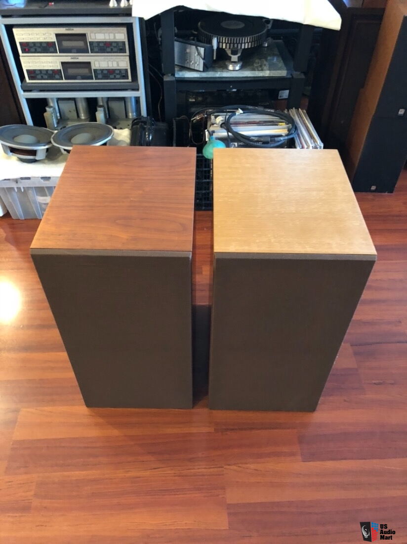 Diatone p610 with custom made cabinets old version For Sale - US Audio Mart