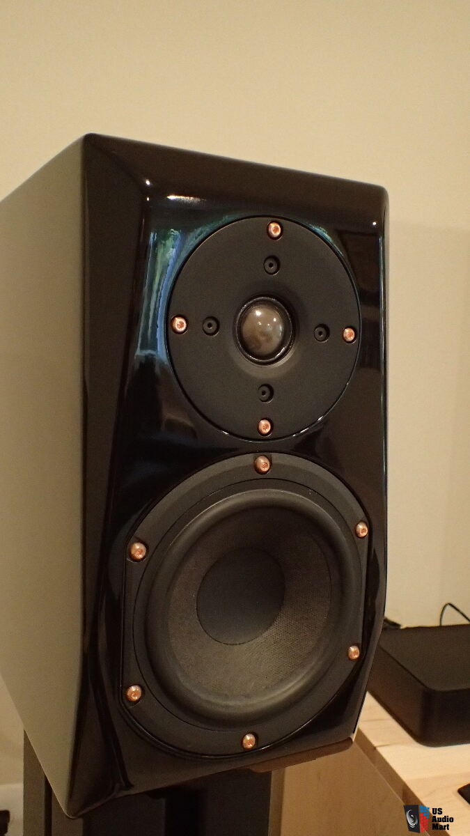 Lenehan Audio ML-1 ( new version) Plus R option Photo #2069917 - US ...