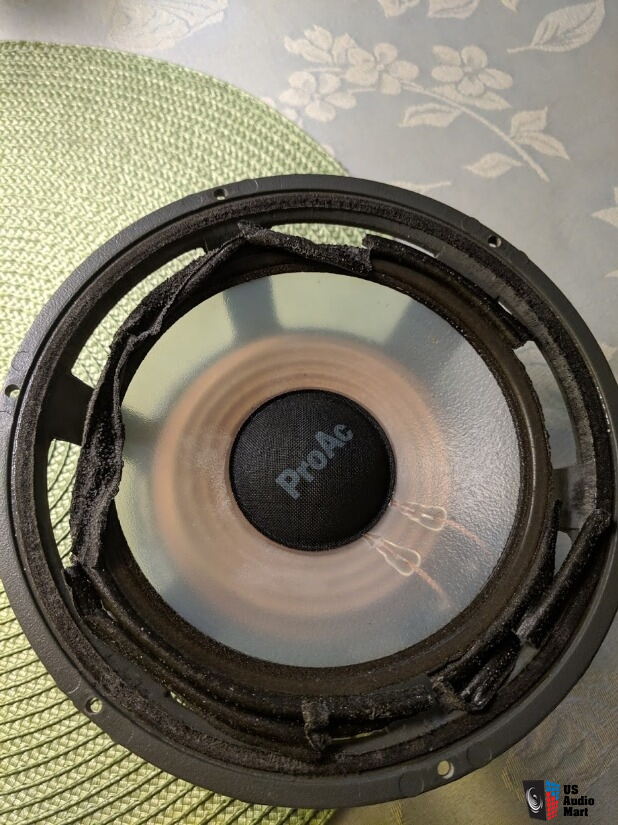 ProAc Response 3 or 3.5 Scan Speak mid-bass drivers (need new foam ...