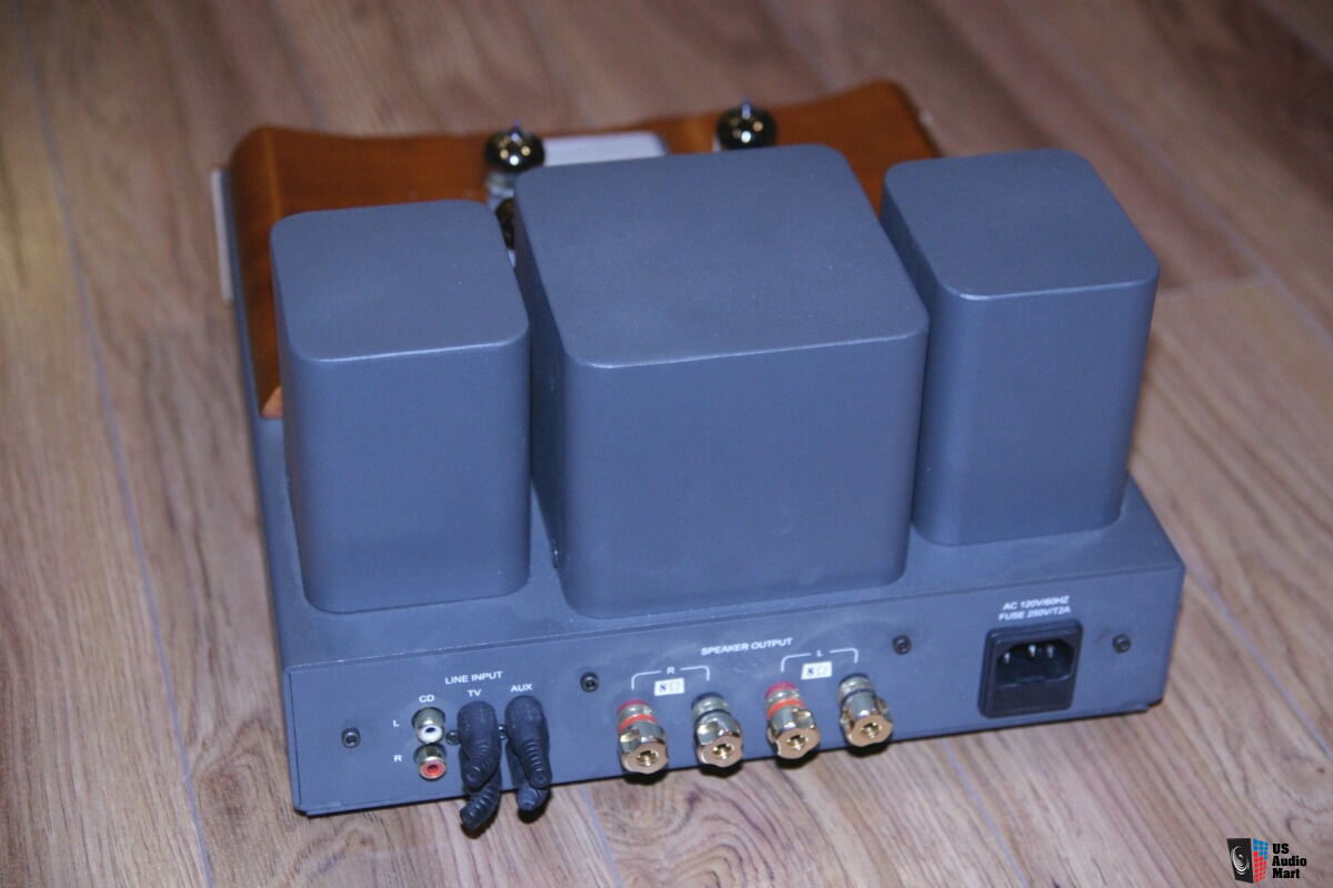 Gorgeous CES Prototype Tube Integrated Amplifier Photo #2101590 - US ...