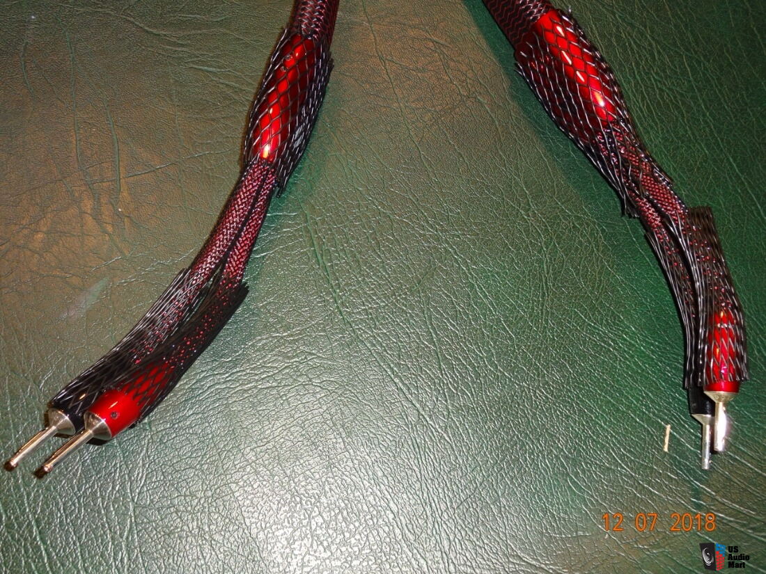 Audioquest 5 ft Redwood Speaker Cables with 72 volt DBS system Photo ...