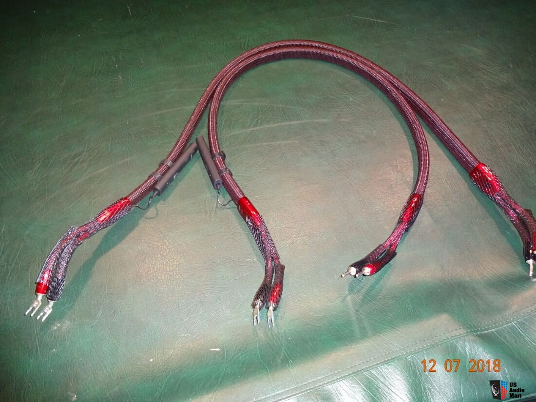 Audioquest 5 ft Redwood Speaker Cables with 72 volt DBS system Photo ...