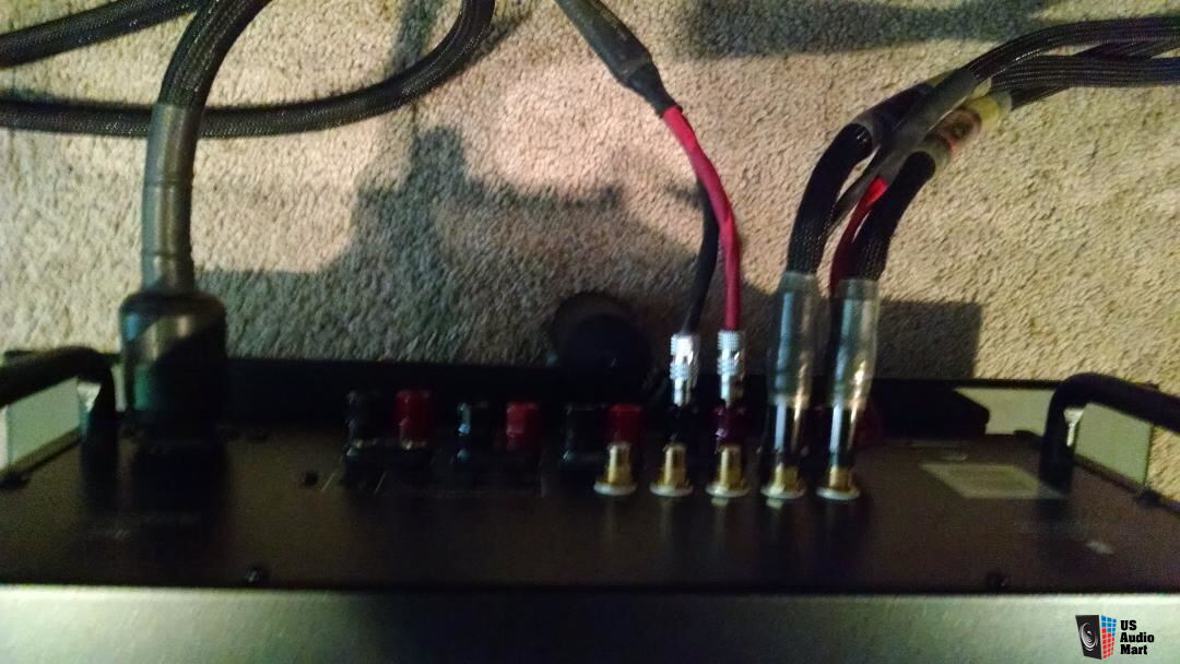 Parasound 5250 Amplifier Photo #2126889 - US Audio Mart
