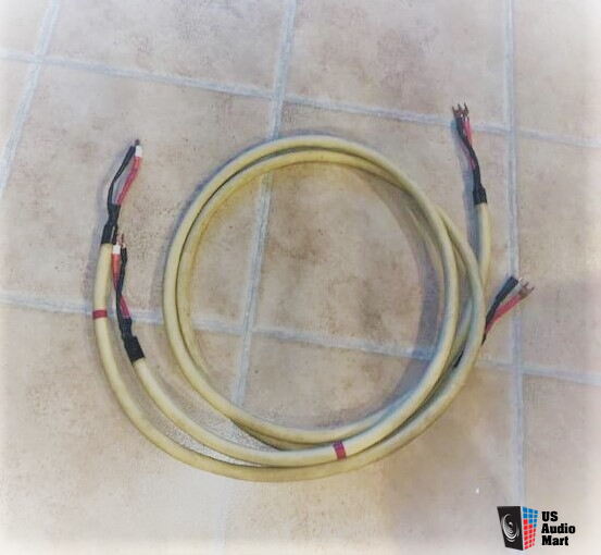 MIT Music Hose 750 Speaker Cable 8 ft pair For Sale - US Audio Mart