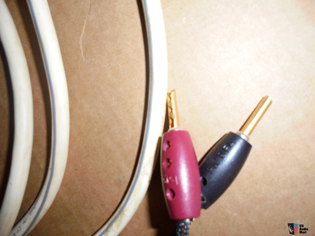 Audioquest CV-4.2 speaker cables 10 ft. Banana on amp end, and spades ...