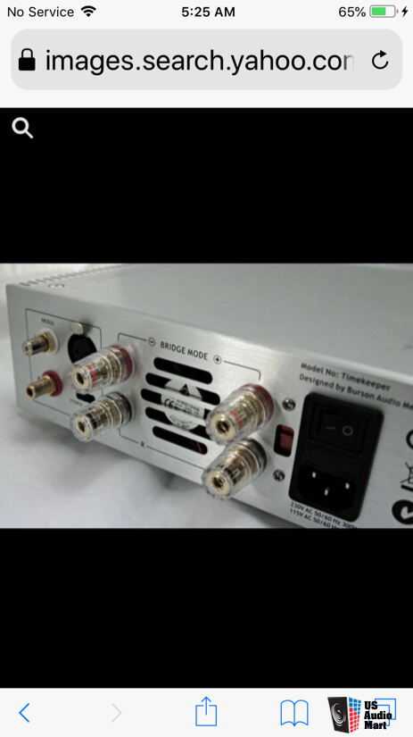 Burson Timekeeper stereo/mono amplifier Photo #2174635 - US Audio Mart