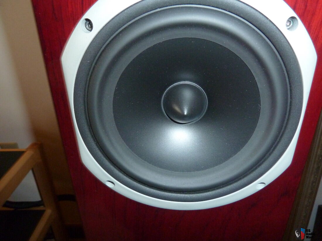 Triangle Signature Theta Loudspeakers (High Gloss Mahogany) - Excellent ...