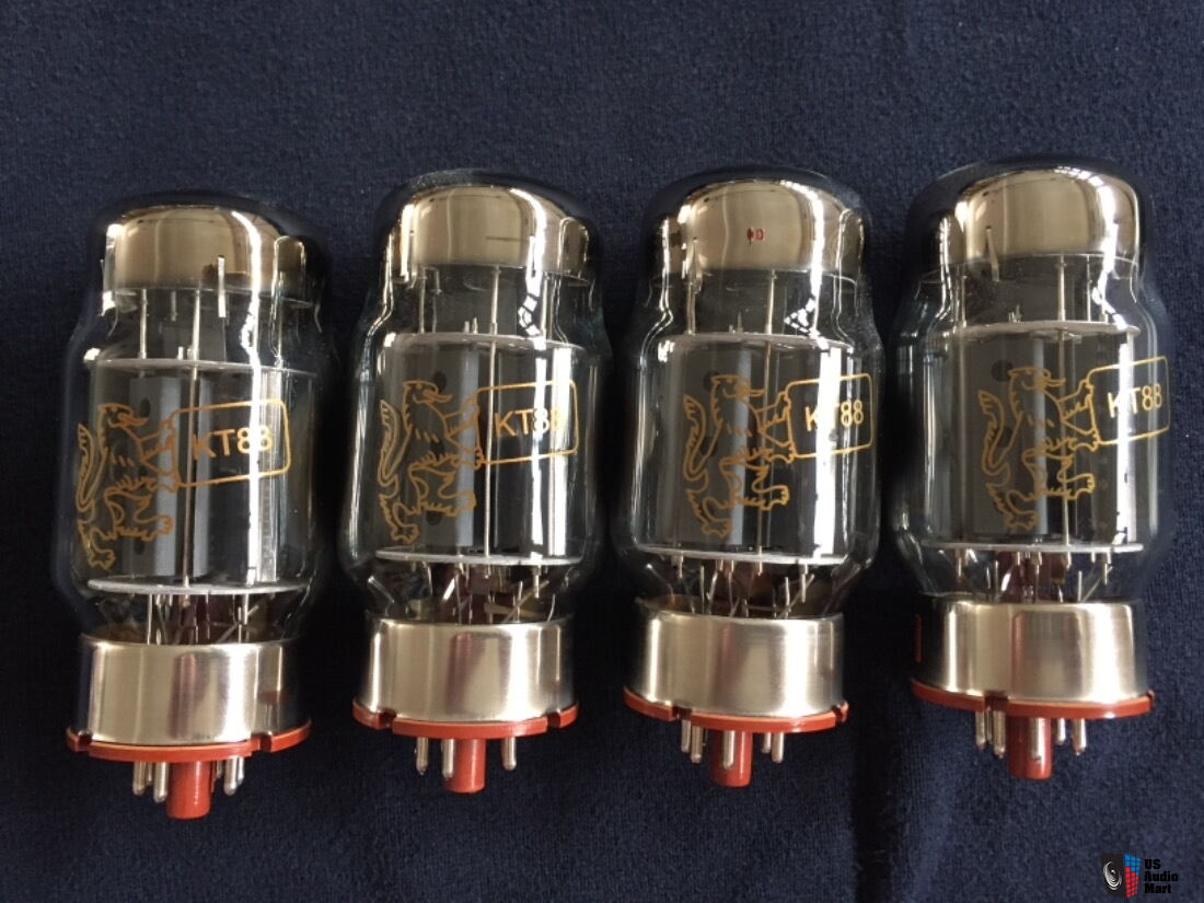 Gold Lion Kt88 Quad Photo #2192842 - US Audio Mart