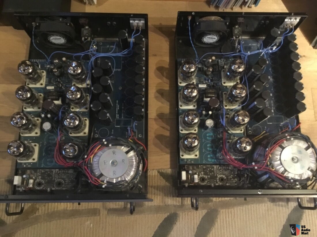 Fourier Panthere OTL mono block amps Photo #2187174 - UK Audio Mart