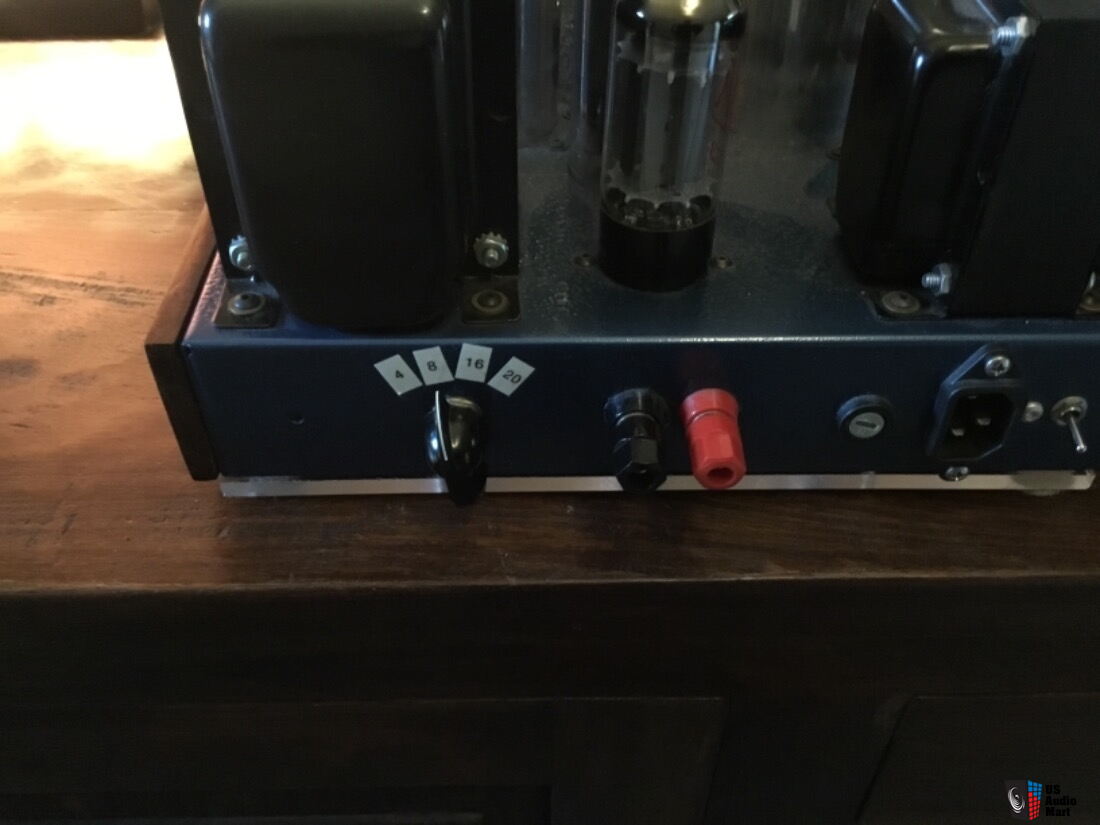 Custom 807 triode wired Push Pull mono block amps Photo #2206052 - US ...
