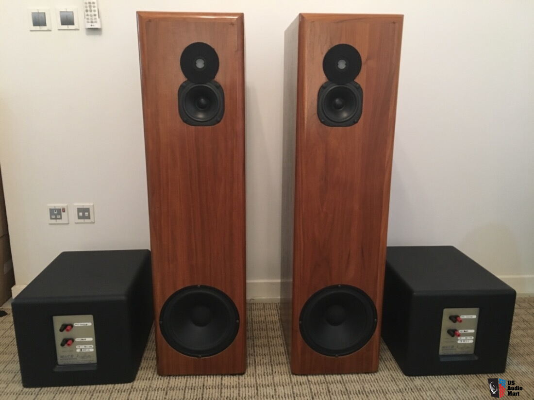 MACH 1Acoustics DM 10 signature For Sale - US Audio Mart