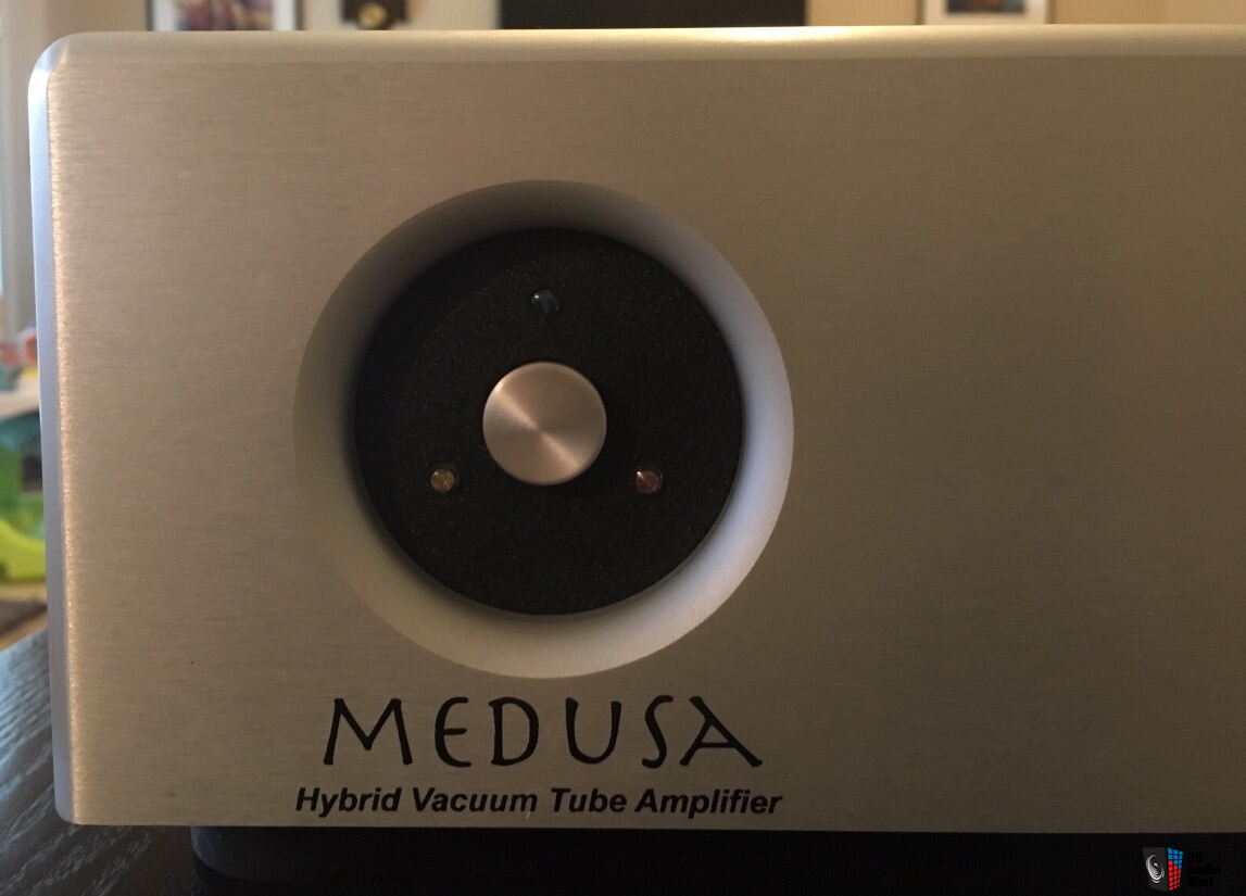 Rogue Audio Medusa Hybrid power amplifier Photo #2261011 - UK Audio Mart