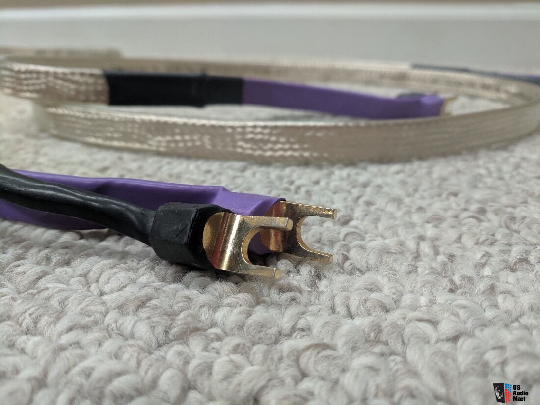 Analysis Plus Inc. Silver Oval Speaker Cables w/ T1 spades (6 feet ...