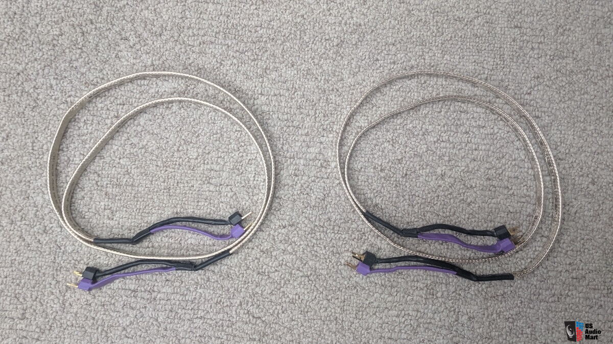 Analysis Plus Inc. Silver Oval Speaker Cables w/ T1 spades (6 feet ...