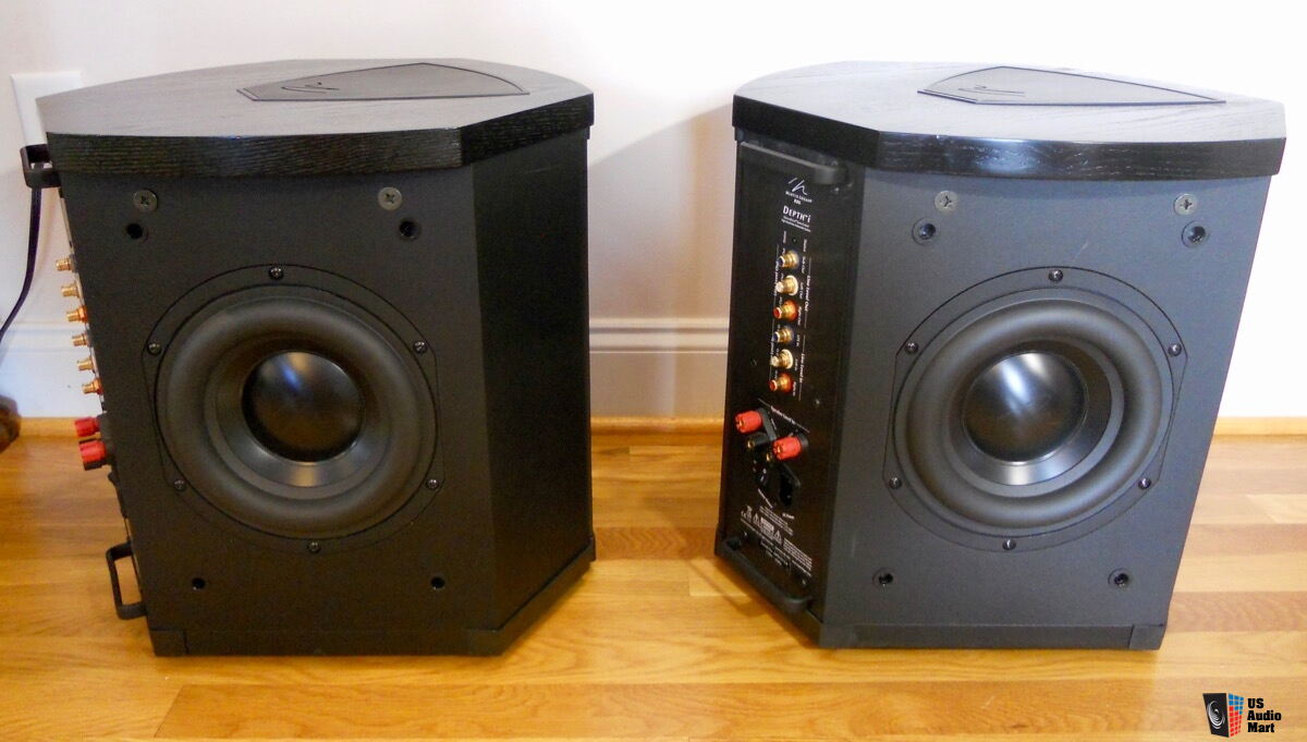 Pair Martin Logan Depth i Subwoofer Photo #2279333 - US Audio Mart