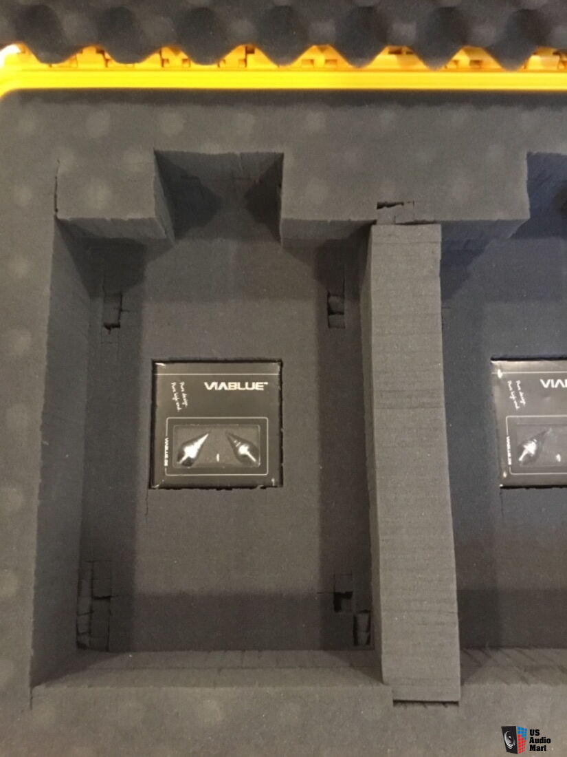Acoustic Imagery Atsah Ncore NC1200 Amplifiers In Silver Finish (PRICE ...