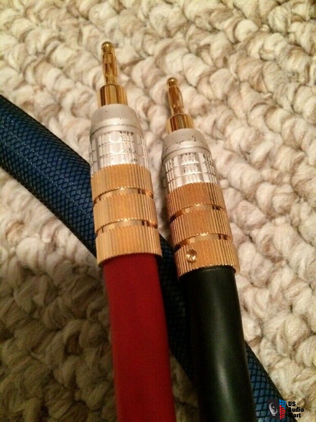 PS Audio PLUS speaker cables Photo #2310545 - US Audio Mart
