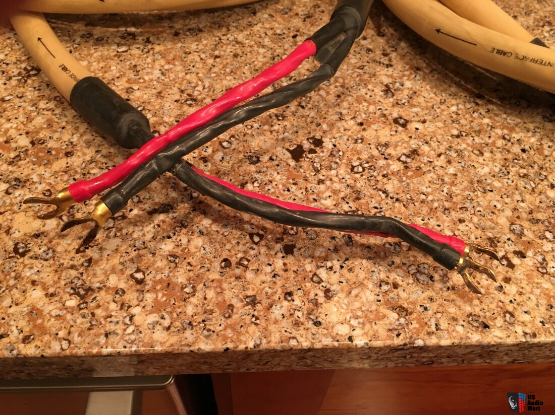 MIT Music Hose MH-750 Speaker Cables Photo #2316611 - US Audio Mart