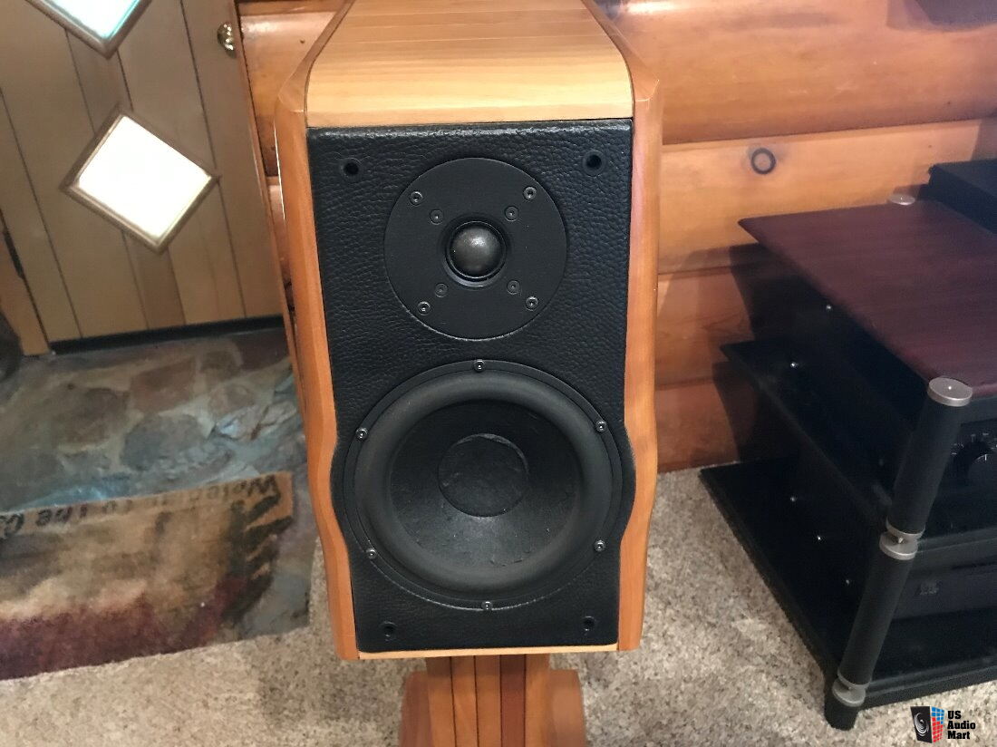 Usher RW729 Monitors with matching stands Photo #2339068 - US Audio Mart