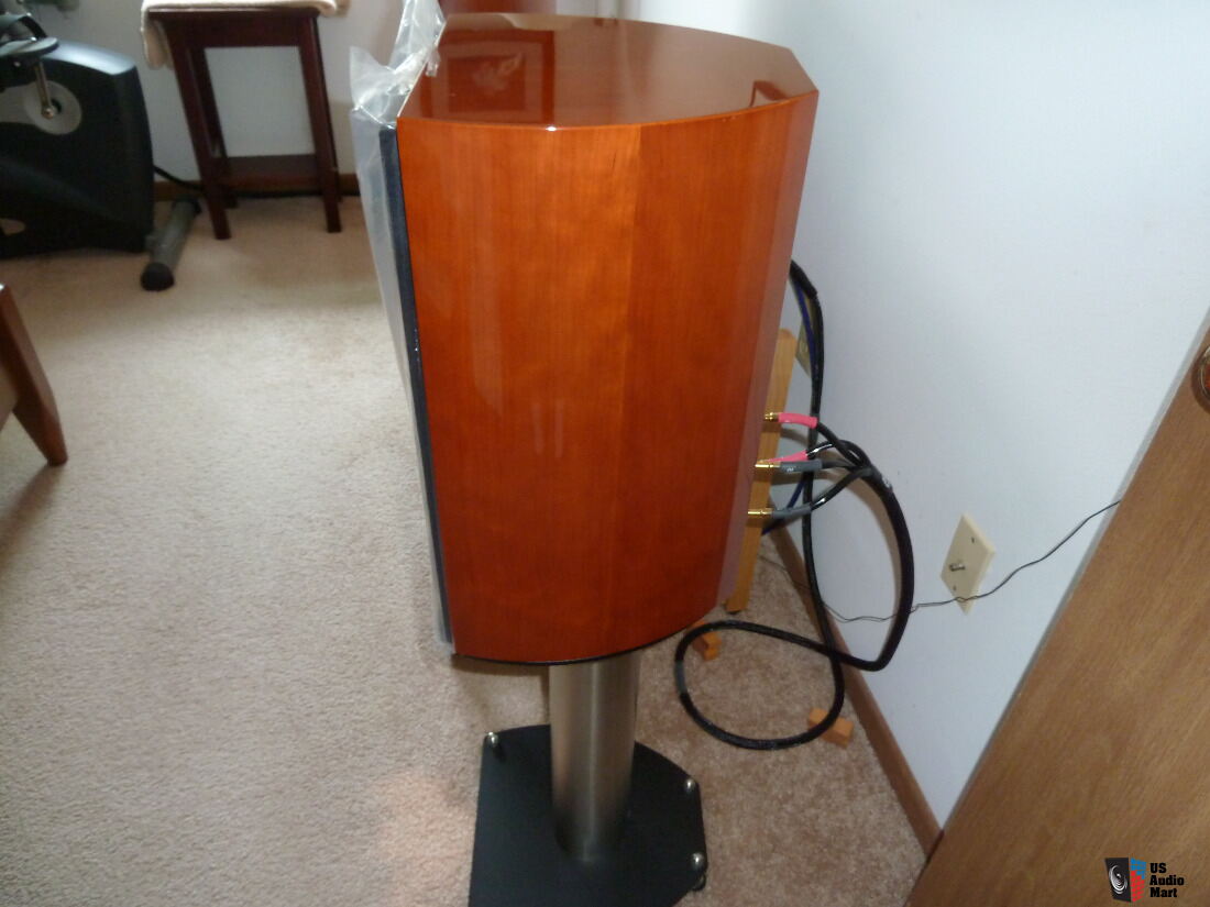 Tannoy Definition DC8 Monitors in High Gloss Cherry w/ Dedicated Stands ...