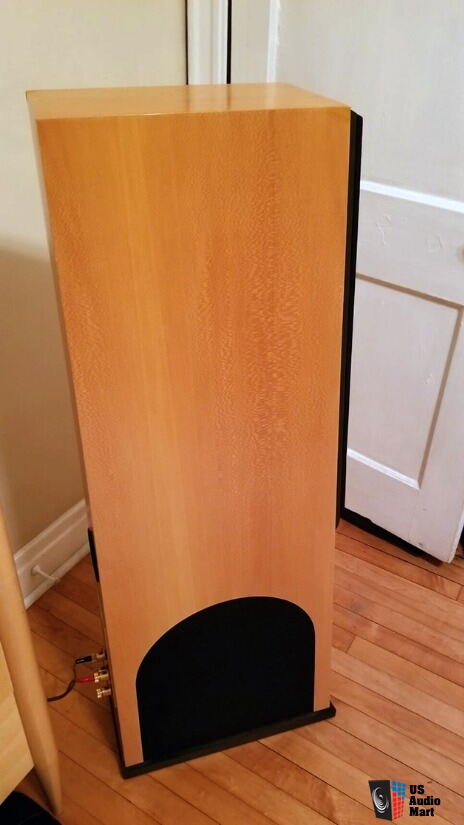 Red Rose Classic Ribbon Speakers in beautiful French Sycamore Photo ...