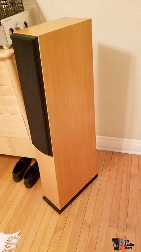 Red Rose Classic Ribbon Speakers in beautiful French Sycamore Photo ...